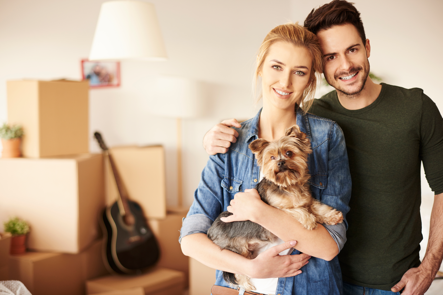 Fun facts about owning a small dog – TRUEECO